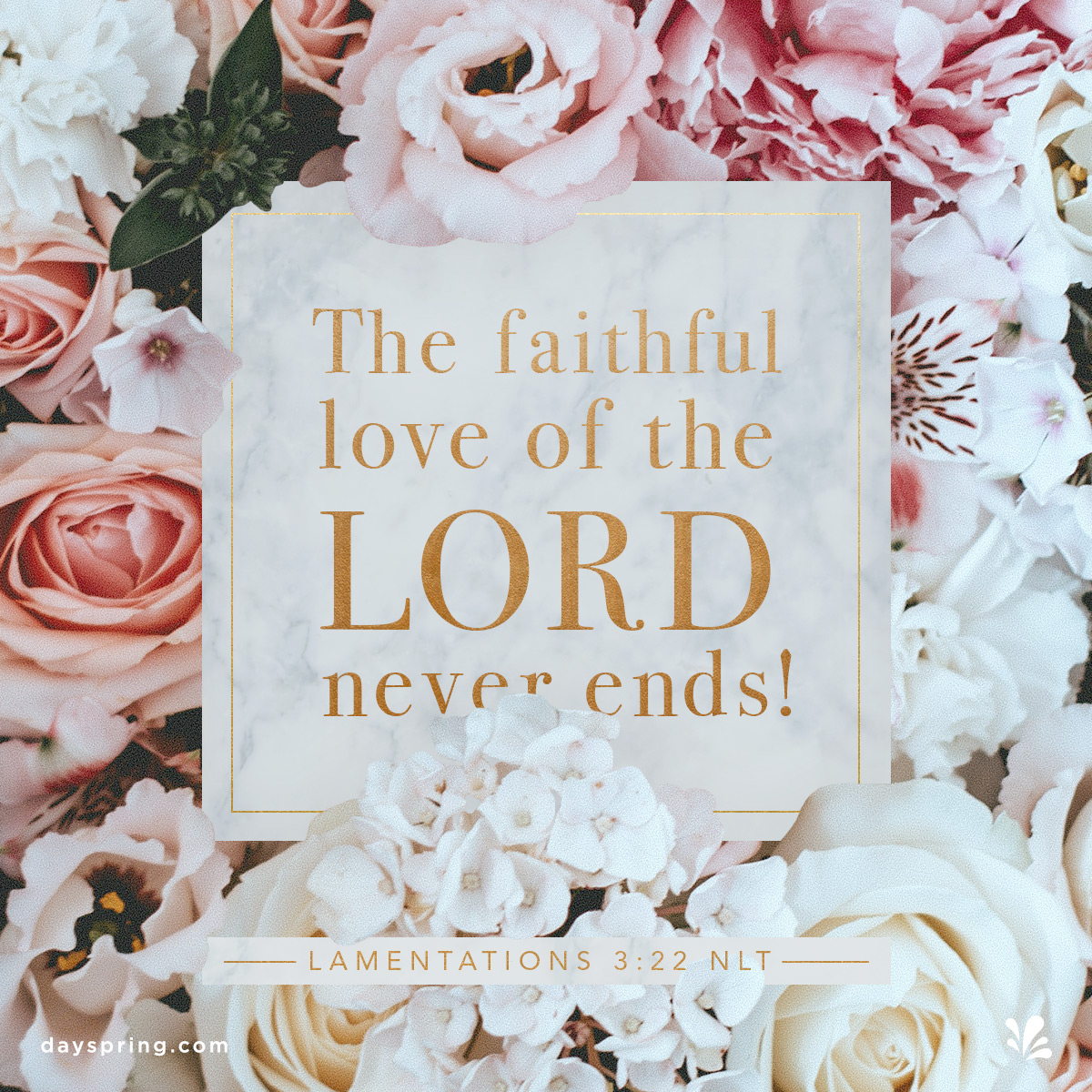 eCard Studio | DaySpring